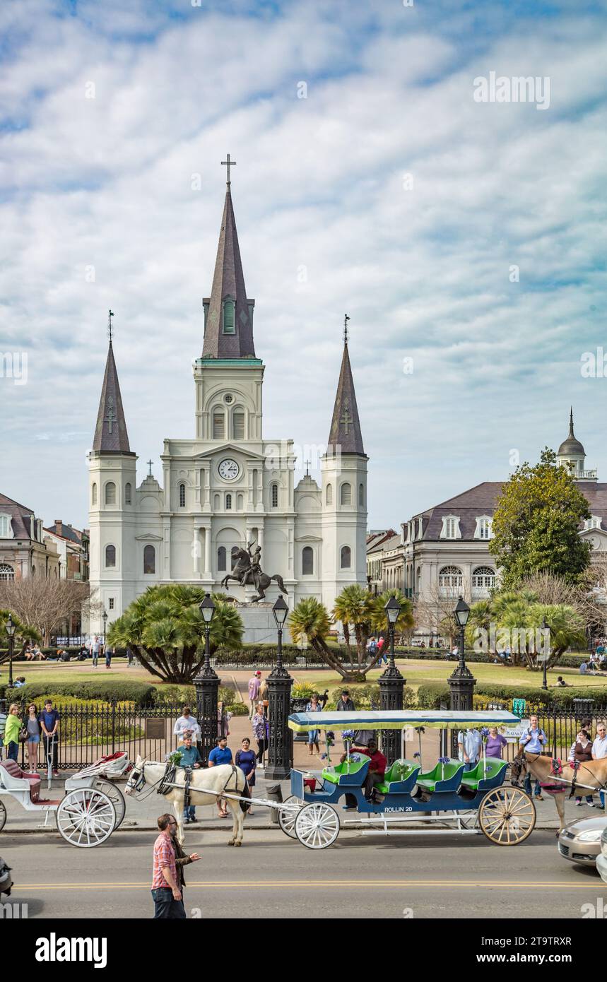 Horse and carriage vendors line up on Decatur Street in front of ...