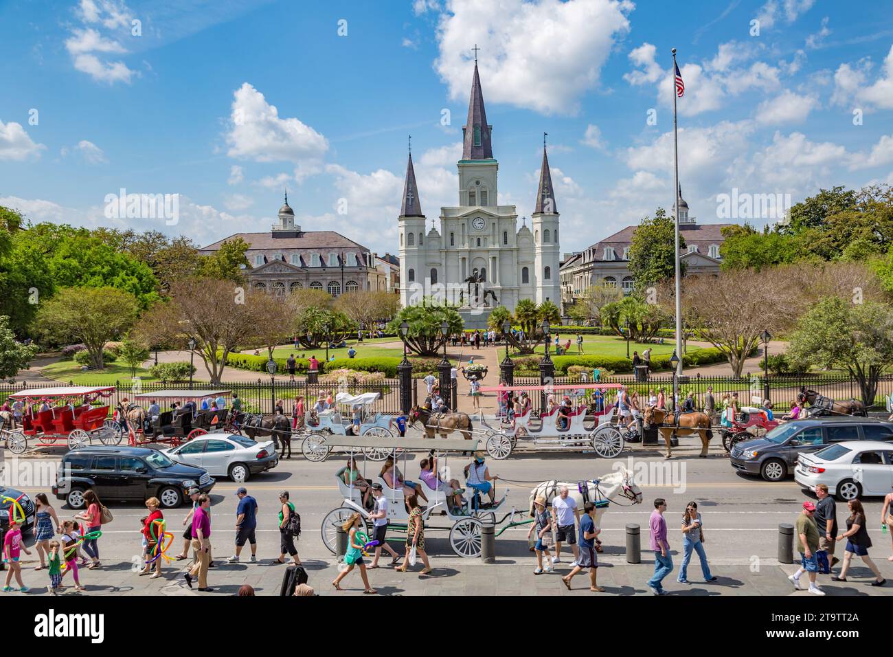 Horse and carriage vendors line up on Decatur Street in front of ...