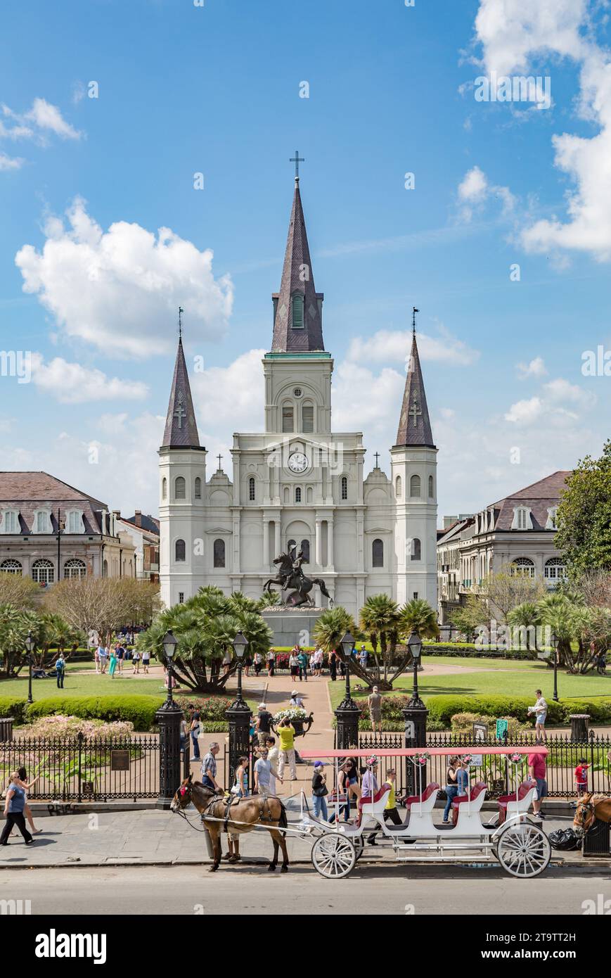 Horse and carriage vendors line up on Decatur Street in front of ...
