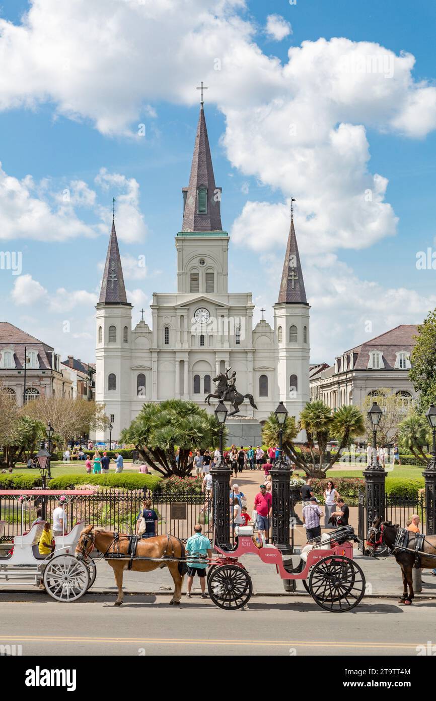 Horse and carriage vendors line up on Decatur Street in front of ...