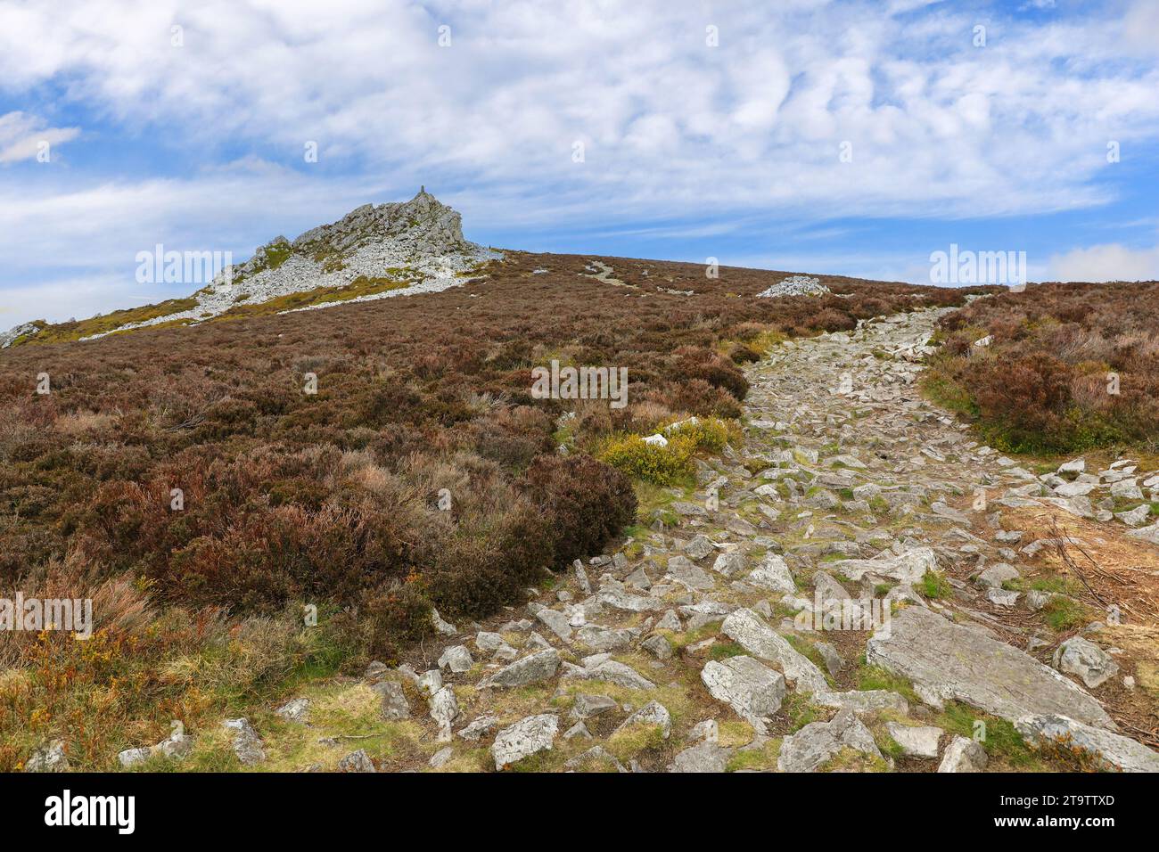 Manstone Rock at Stiperstones hills, Shropshire, England, UK Stock ...