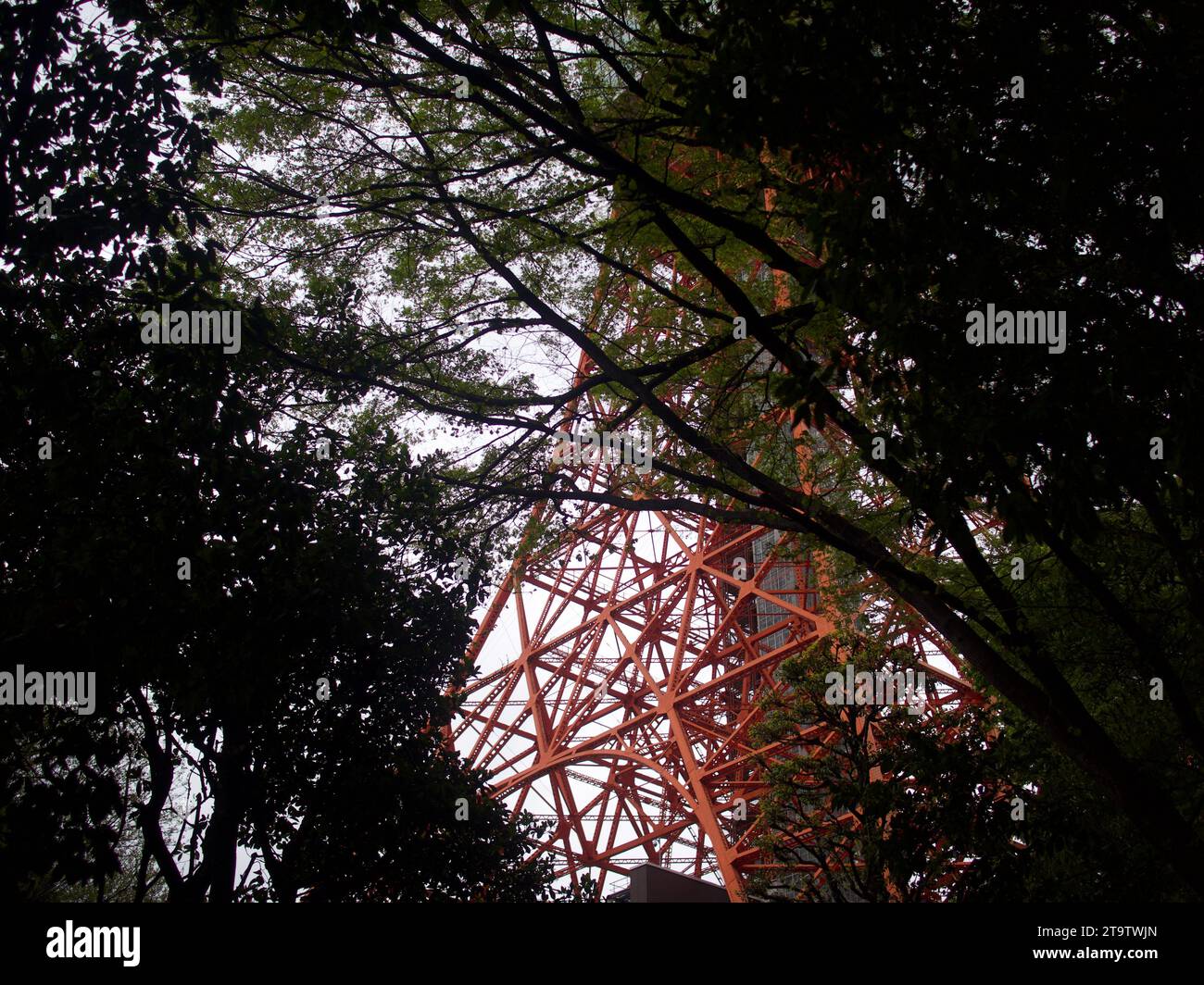 Tokyo tower trees hi-res stock photography and images - Alamy