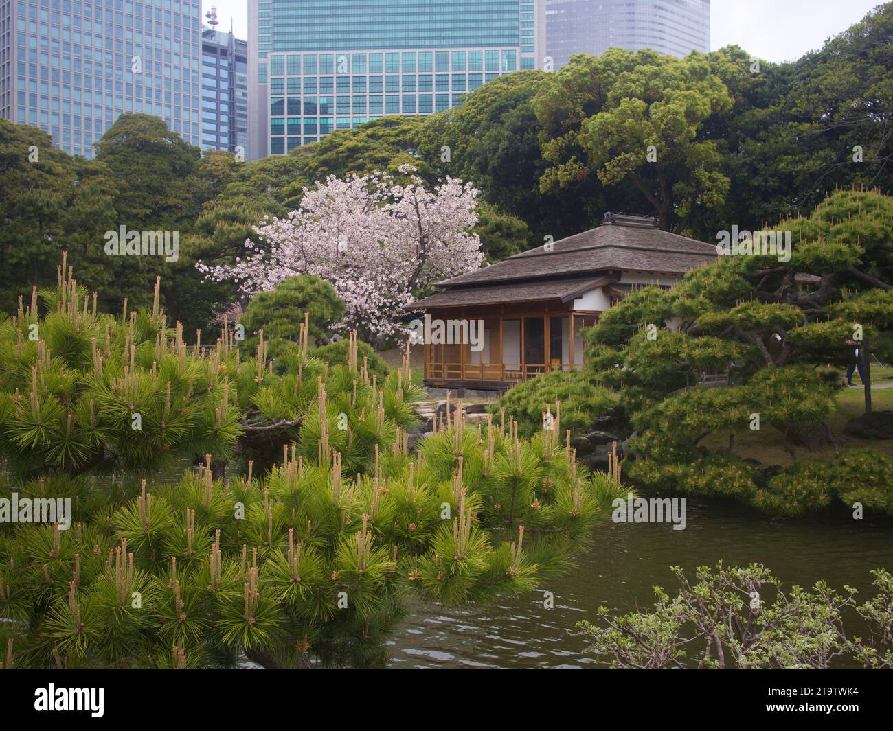 Hamarikyu Gardens - Tokyo Stock Photo - Alamy