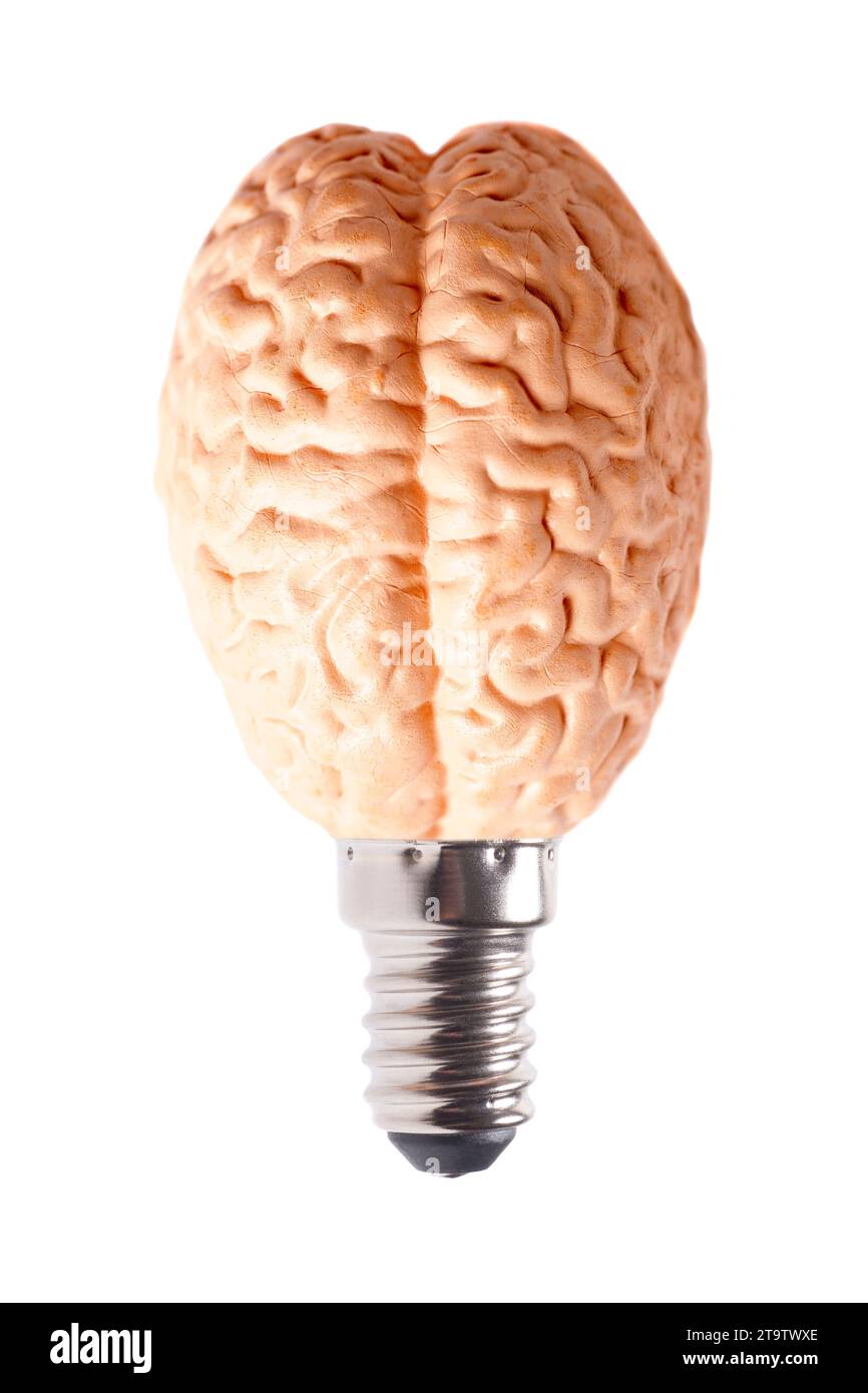 Human brain lobes and functions hi-res stock photography and images - Alamy