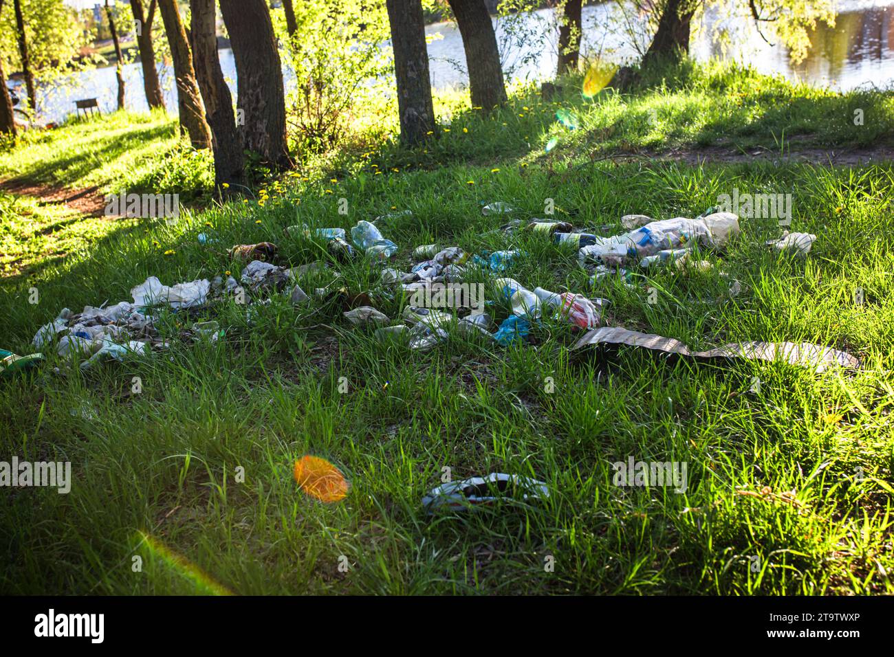 Big garbage pile in the countryside forest among trees in Park on ...