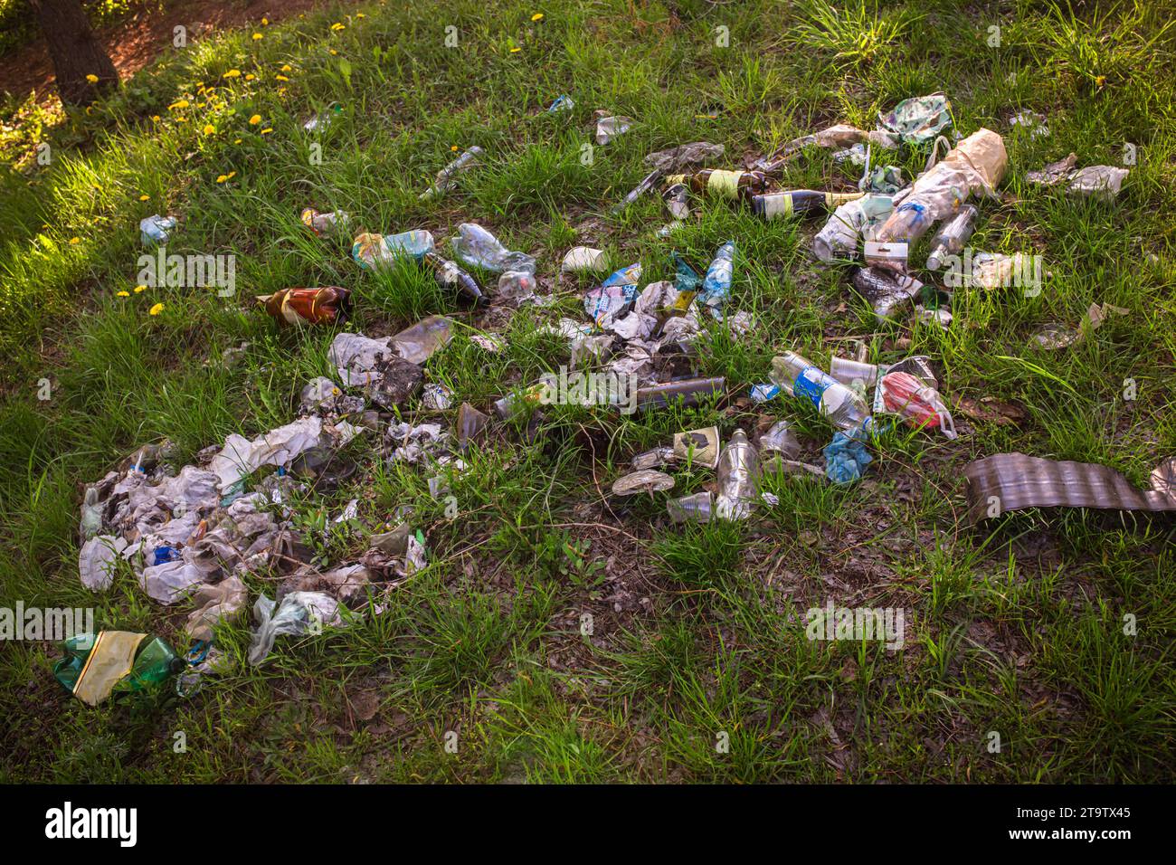 Plastic garbage on the grass in a city park. Garbage left by people ...