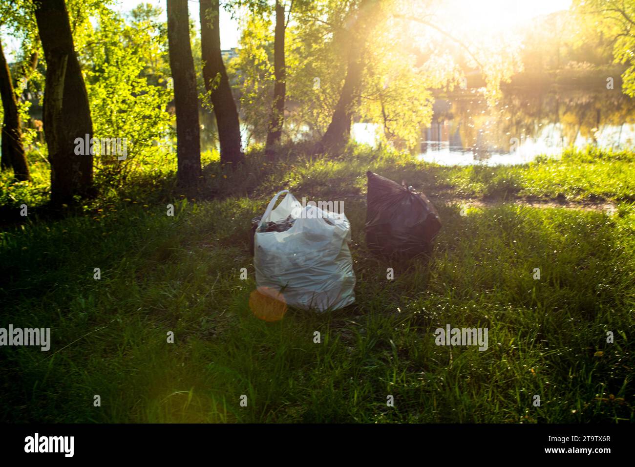 Garbage left by vacationers on the shore of the lake in the grass in ...