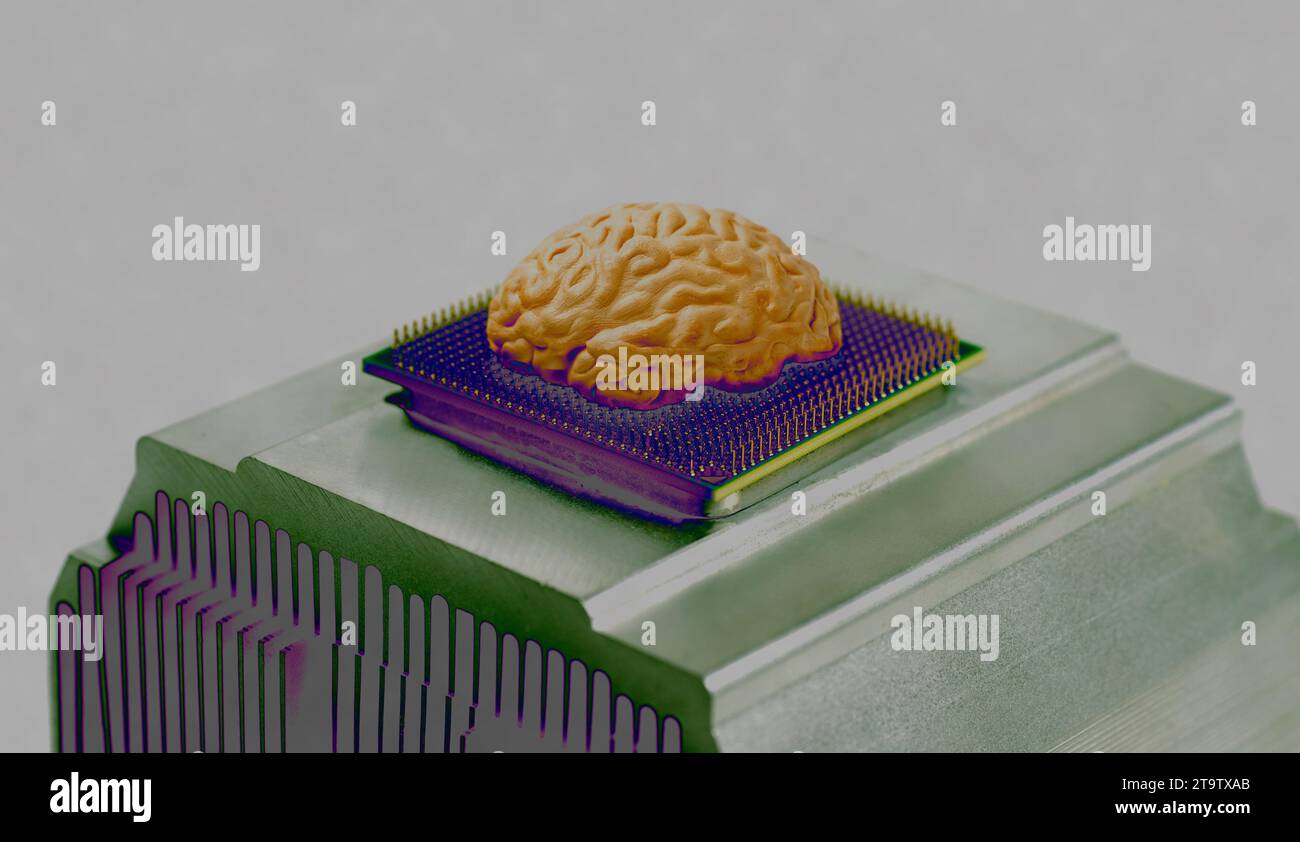 Human brain anatomical model on CPU processor microchip Stock Photo - Alamy