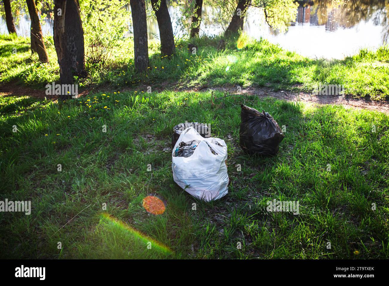 Garbage left by vacationers on the shore of the lake in the grass in ...