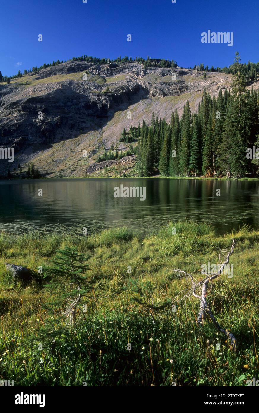 High Lake, Strawberry Mountain Wilderness, Malheur National Forest ...