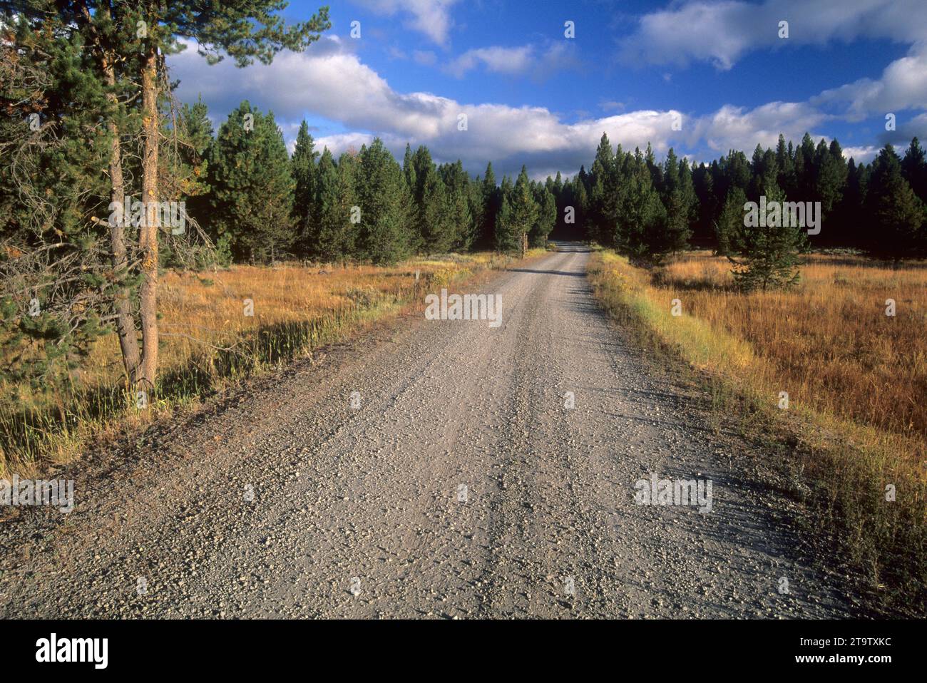 FR1643 by Logan Valley, Malheur National Forest, Oregon Stock Photo - Alamy