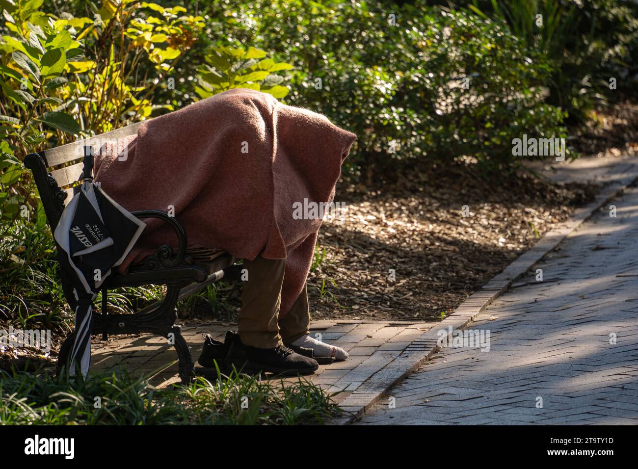 Homeless man sleeping on bench hi-res stock photography and images - Alamy