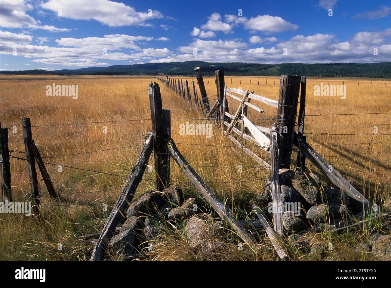 Logan Valley with ranch fence, Malheur National Forest, Oregon Stock ...