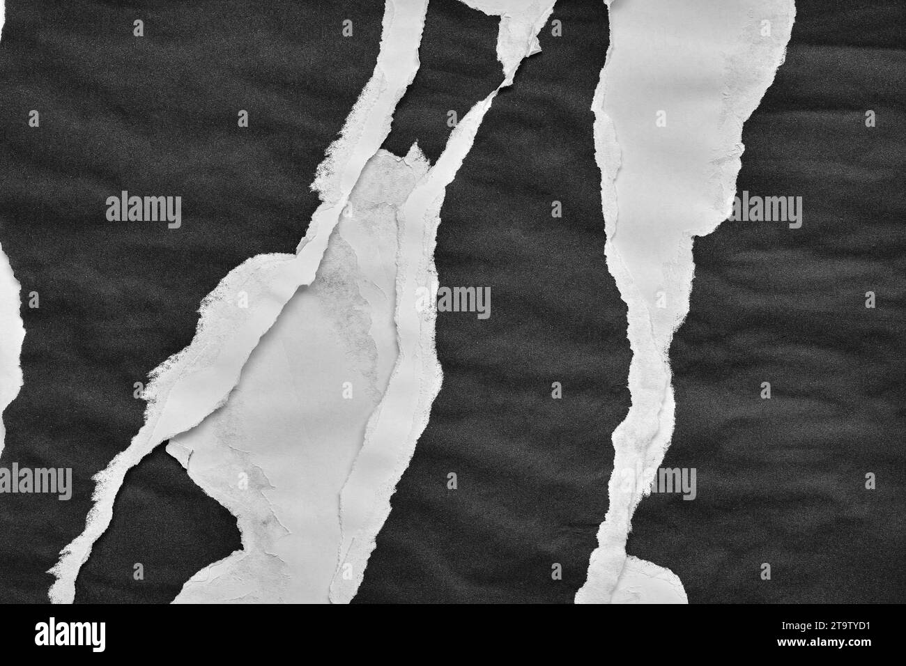 Black and White Torn Paper Collage Style, Ripped Paper Effect, Texture ...
