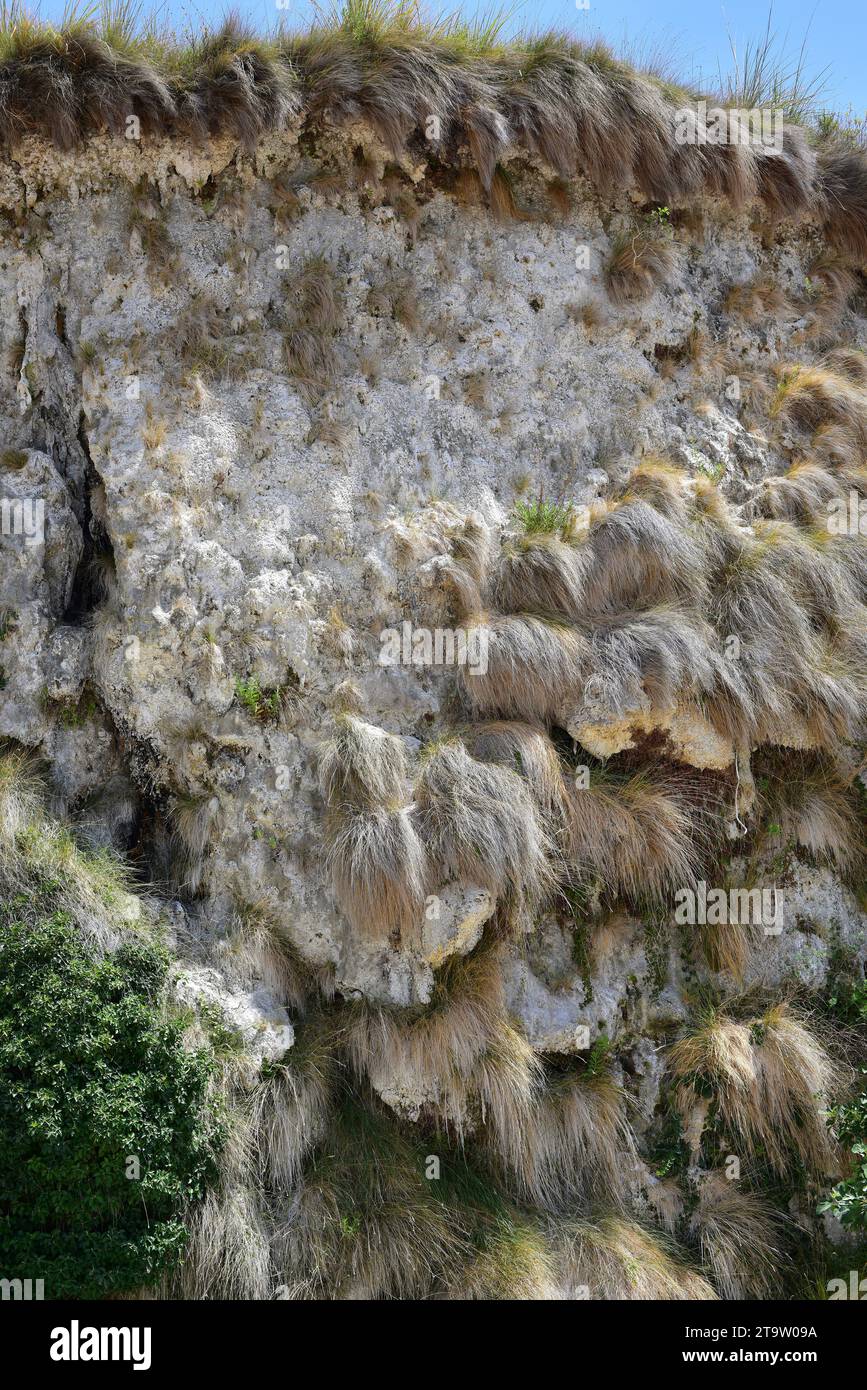 Travertine formed by calcium carbonate hi-res stock photography and ...