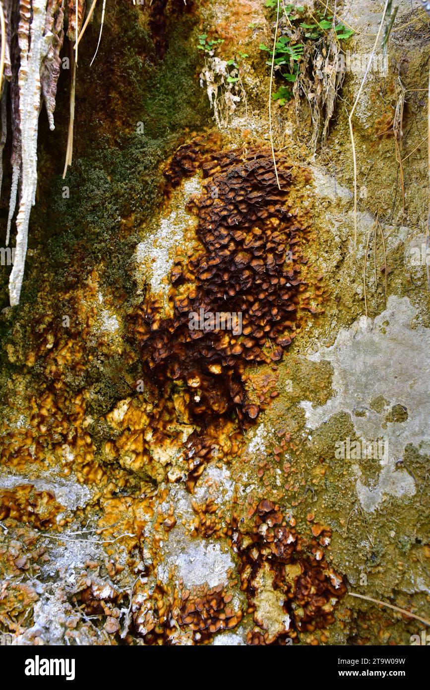 Aqueduct of Toril formed by travertine precipitated by the thermal ...