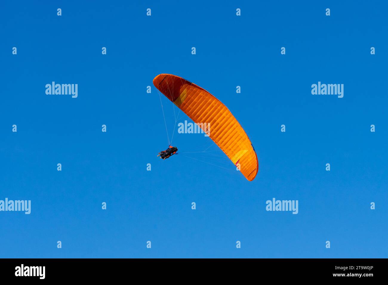 A tandem paraglider flies overhead at the GGBY World Highline Festival ...