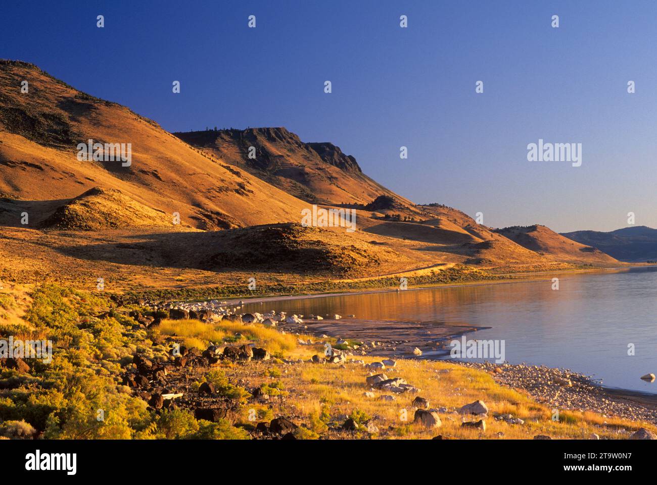 Lake Abert & Abert Rim, c Stock Photo - Alamy