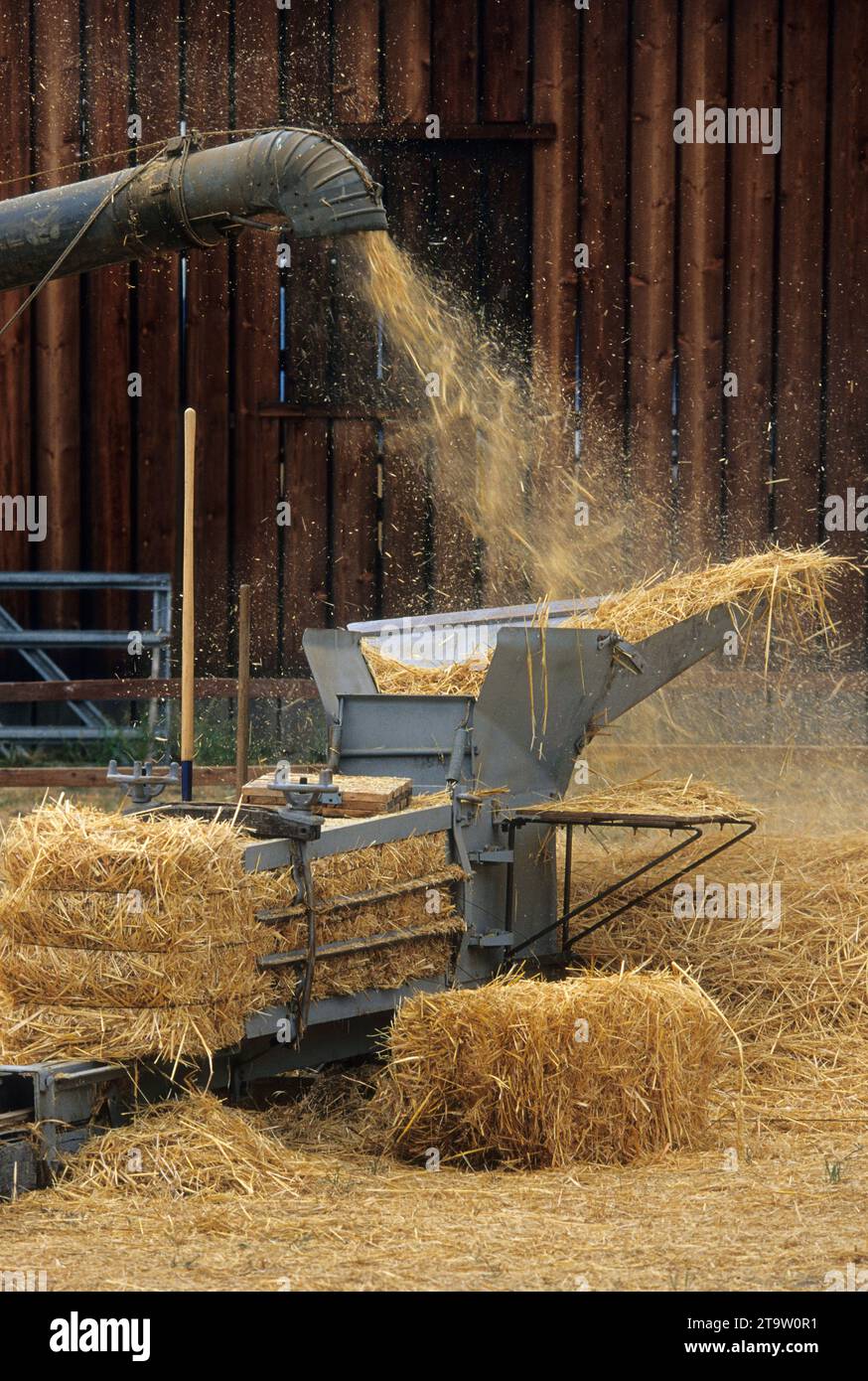 Grain threshing demonstration, Historic Hanley Farm, Jackson County ...