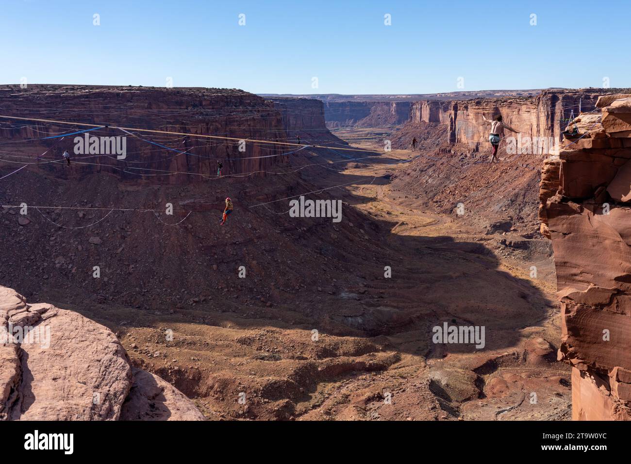 Five people on highlines at the GGBY World Highline Festival 500 feet ...