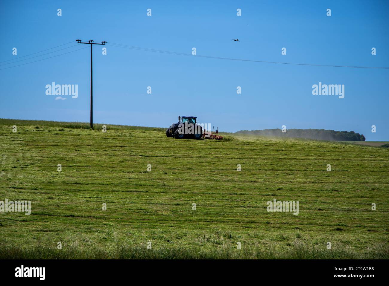 Early lawn mower hi-res stock photography and images - Alamy