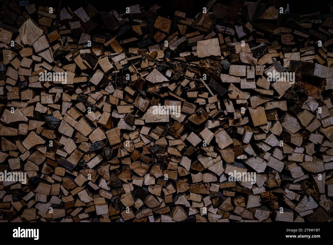 The logs, varying in size, exhibit the rich textures and earthy tones ...