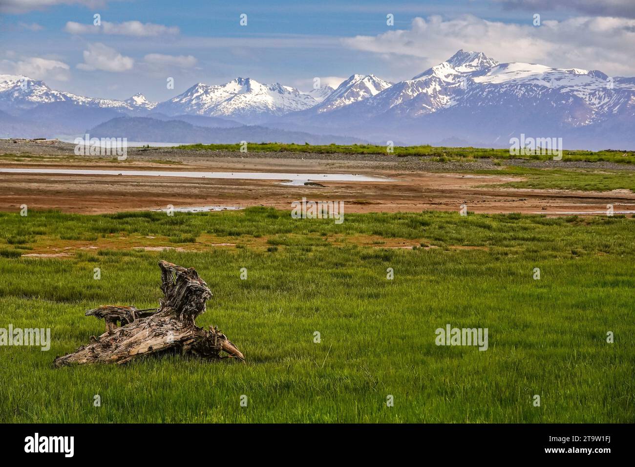 The tidal marsh of Beluga Slough with the snow-capped Kachemak ...