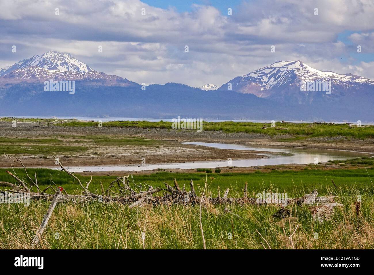 The tidal marsh of Beluga Slough with the snow-capped Kachemak ...