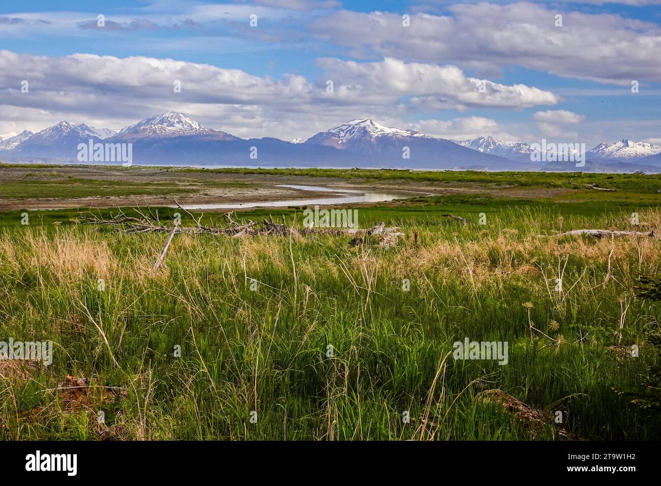 The tidal marsh of Beluga Slough with the snow-capped Kachemak ...