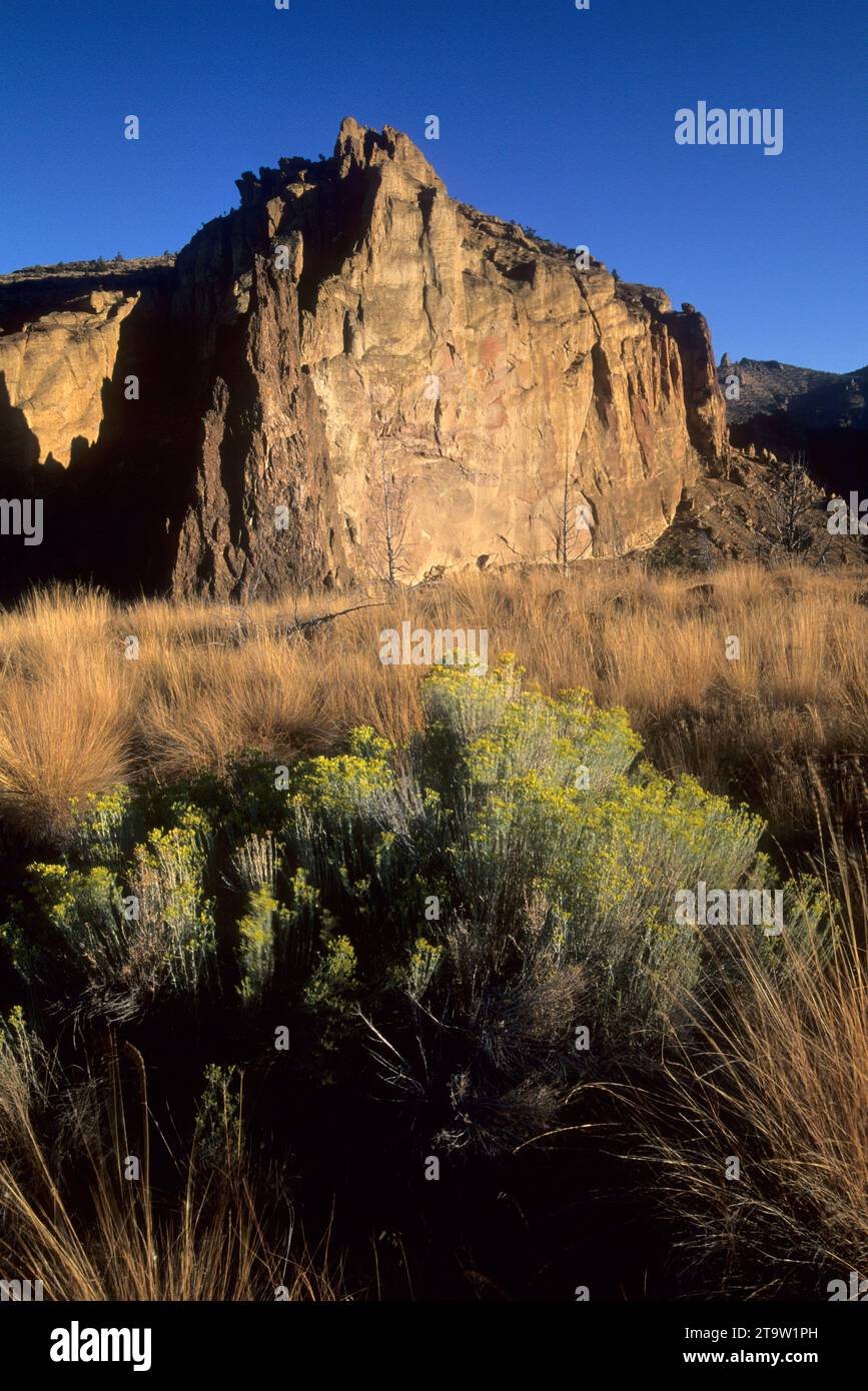 Smith Rocks, Smith Rock State Park, Oregon Stock Photo - Alamy