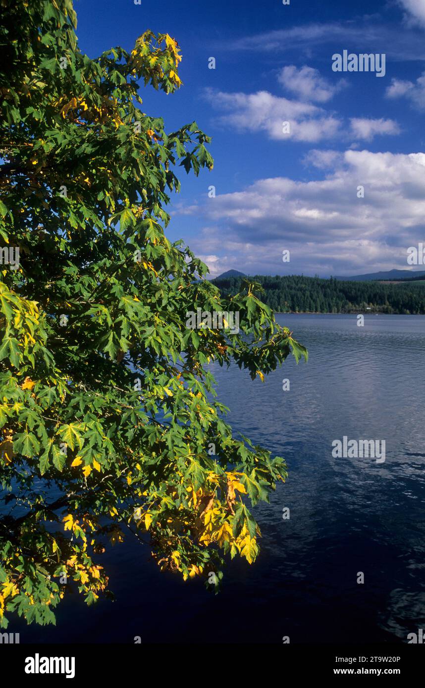 Foster Lake, Linn County, Oregon Stock Photo - Alamy