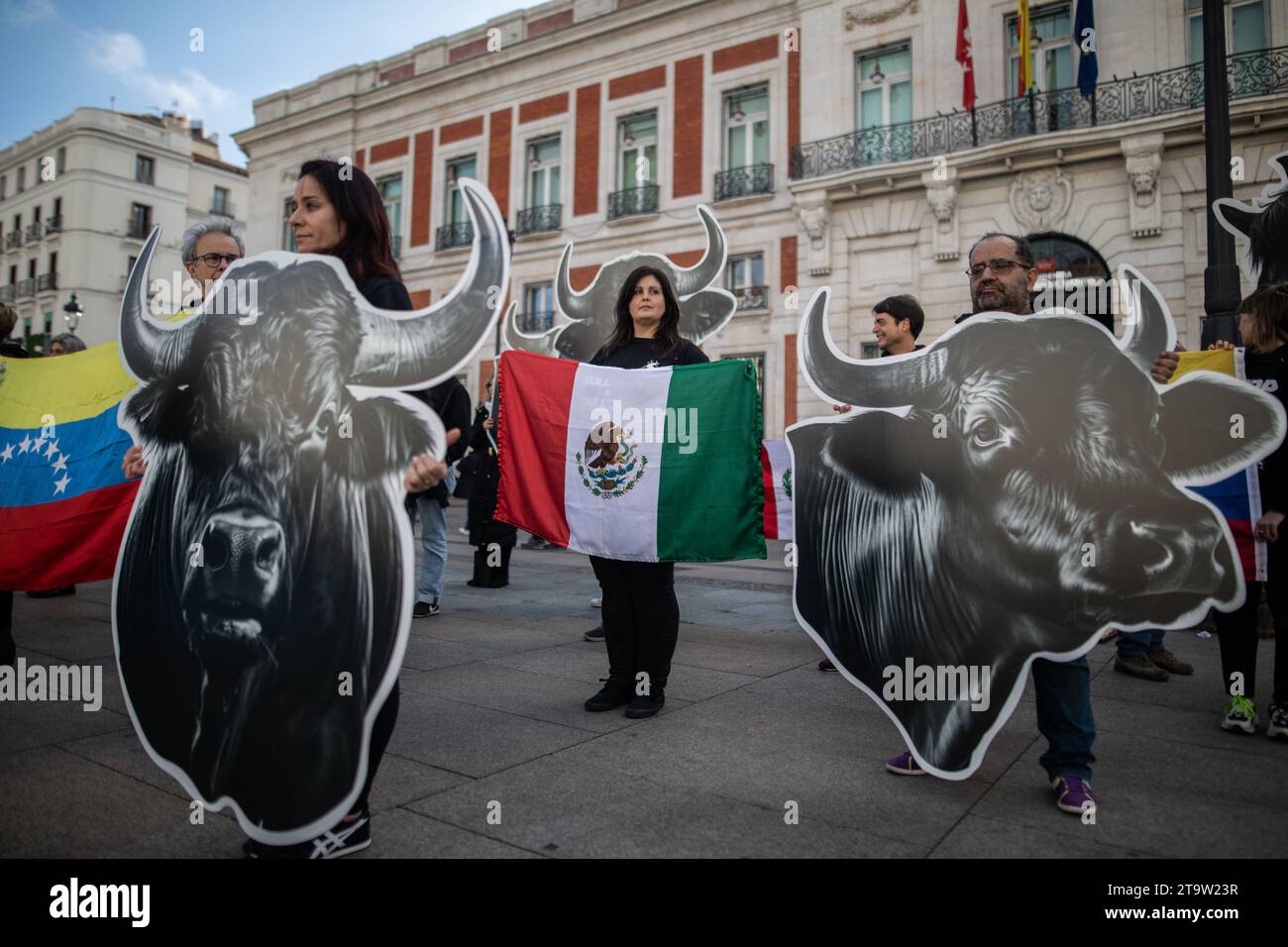 Madrid, Spain. 27th Nov, 2023. An anti-bullfighting activist holds a ...