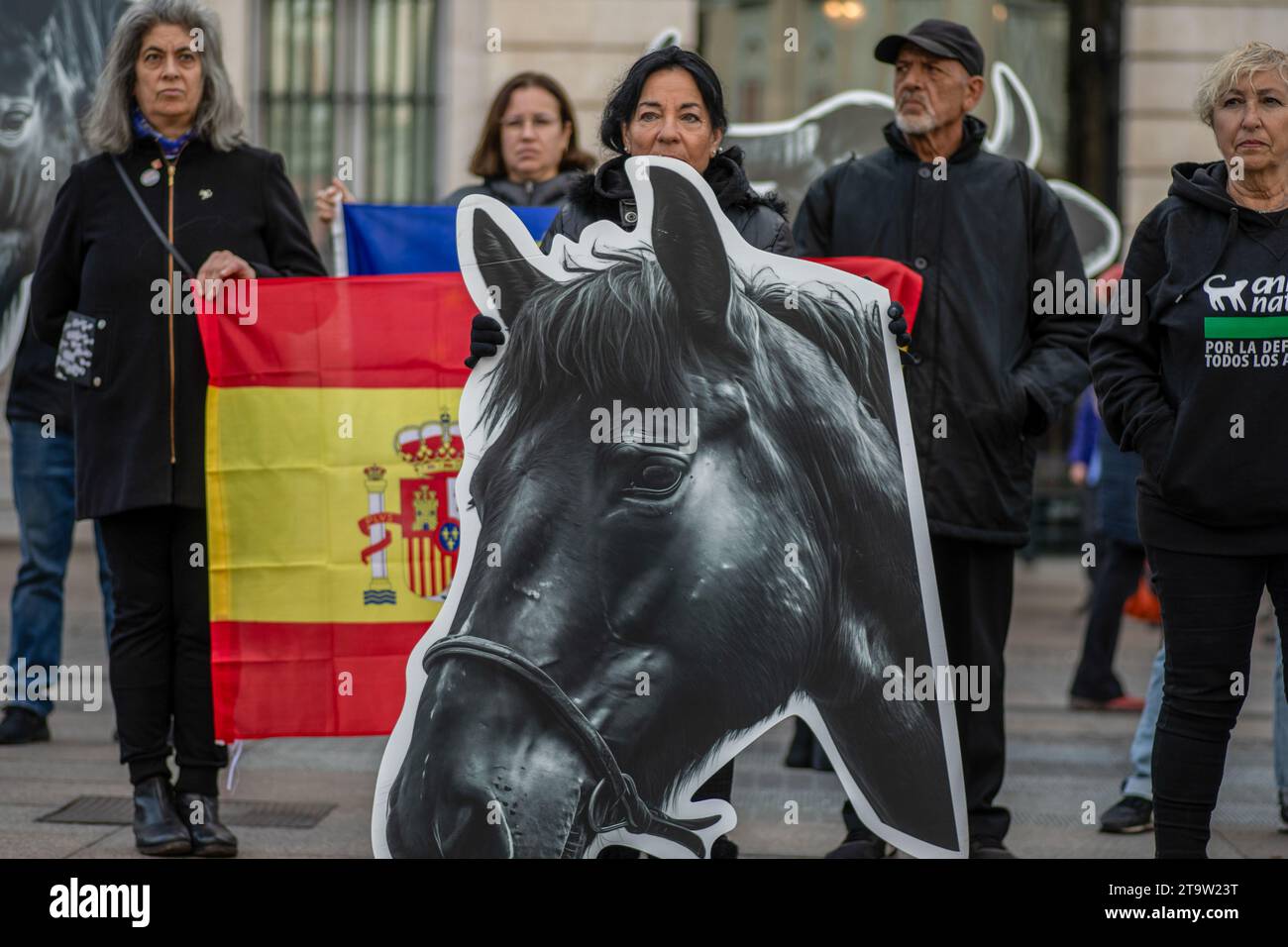 Madrid, Spain. 27th Nov, 2023. An anti-bullfighting activist holds a ...