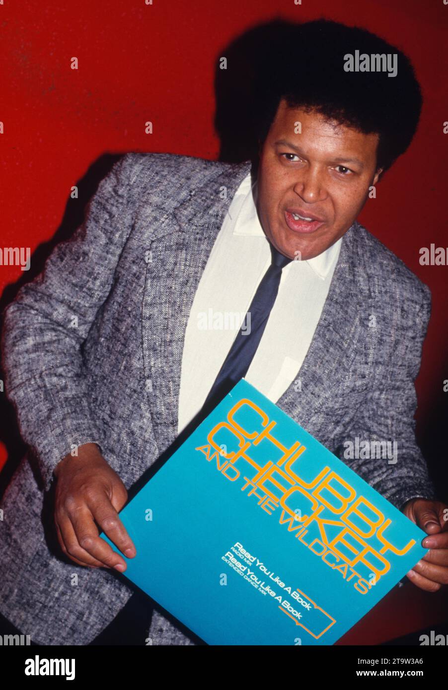 1981 Chubby Checker Credit: John Barrett/PHOTOlink/MediaPunch Stock ...