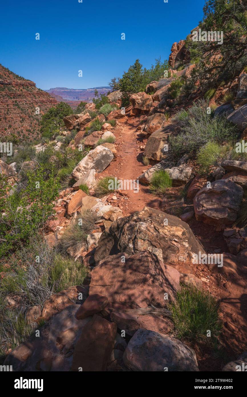 hiking the grandview trail in the grand canyon national park in arizona ...