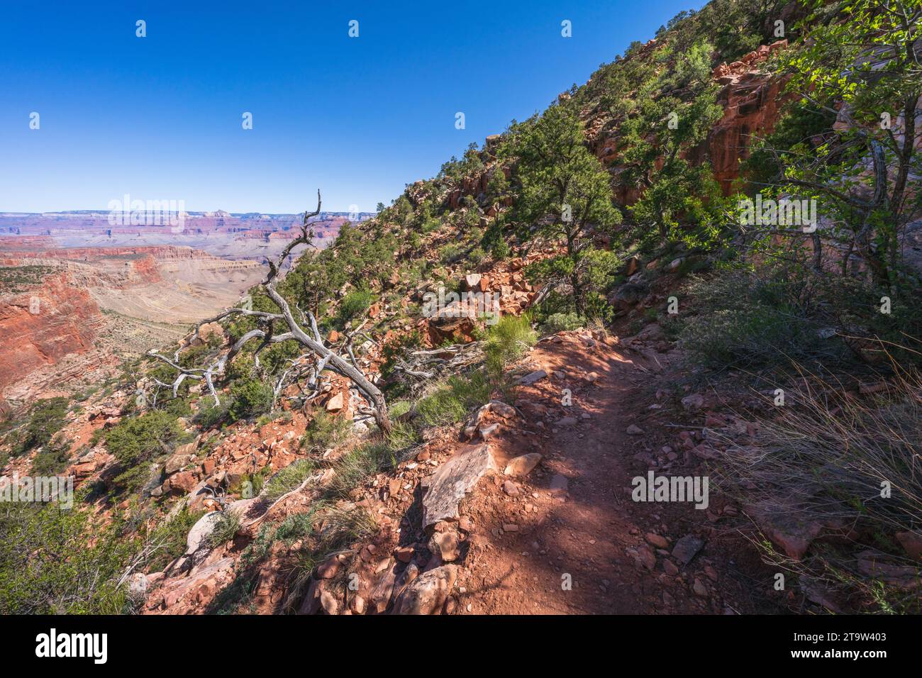 hiking the grandview trail in the grand canyon national park in arizona ...