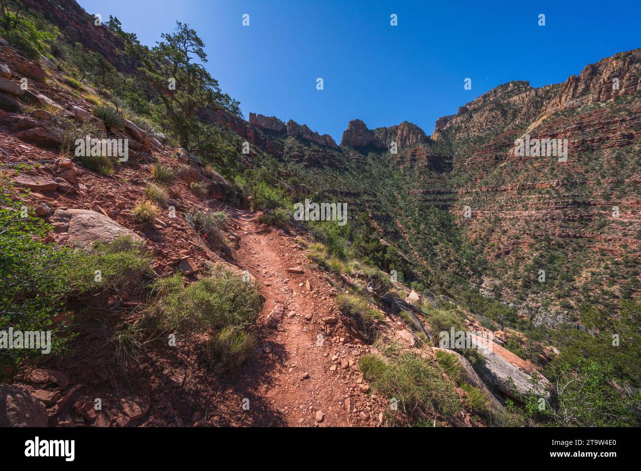 hiking the grandview trail in the grand canyon national park in arizona ...