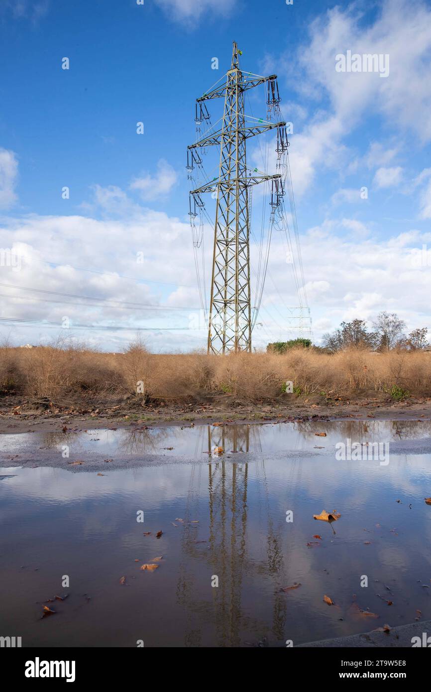 Amprion und der Rhein-Main-Link Amprion stellt die Details zum Rhein ...