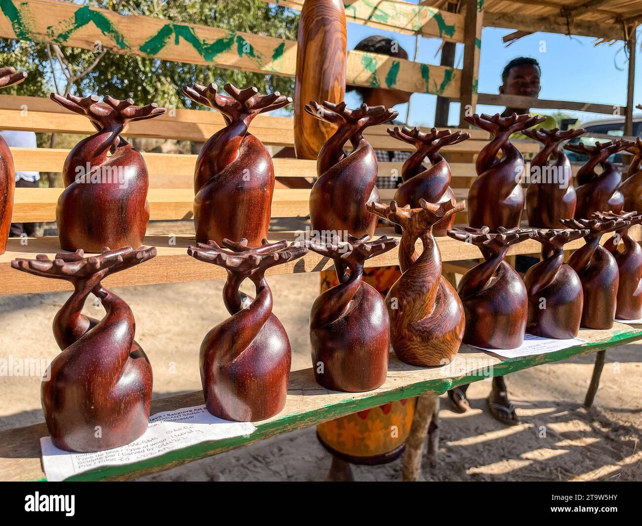 Madagascar, surroundings of Tsimafana, Baobab souvenir Stock Photo - Alamy