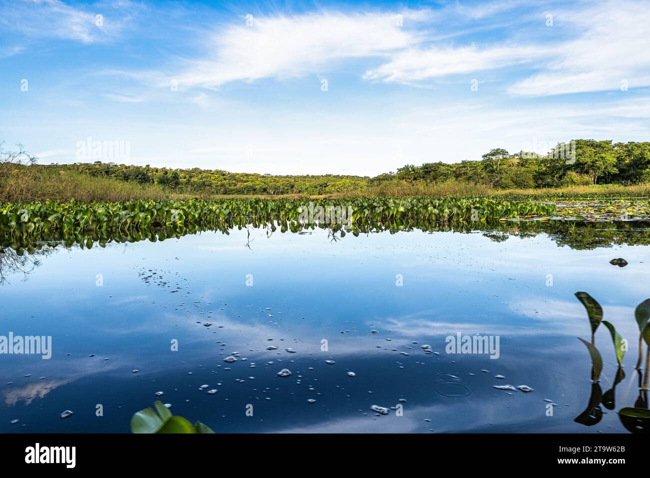 Canoe tour on the Pantanal Marimbus, waters of many rivers and abundant ...
