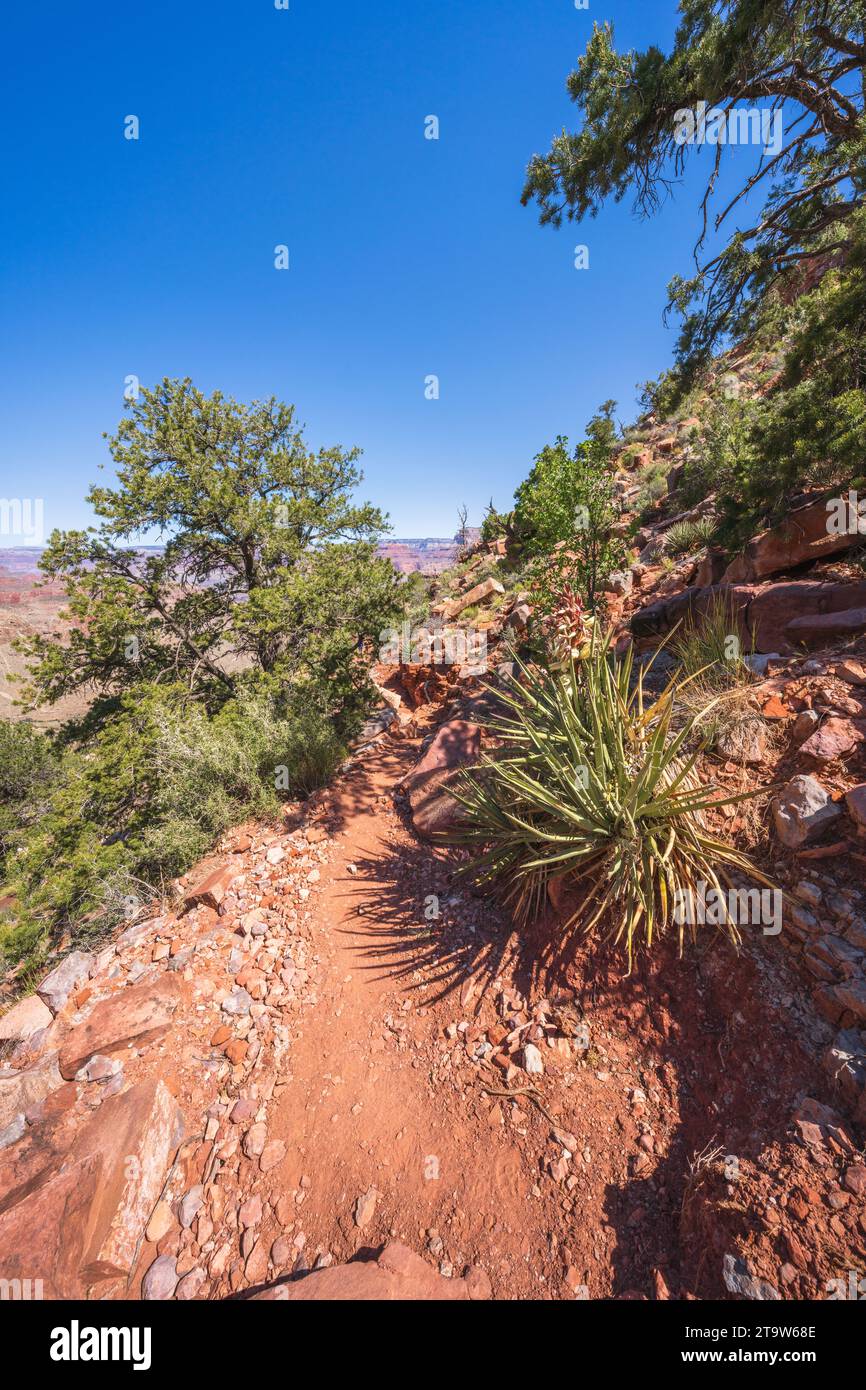 hiking the grandview trail in the grand canyon national park in arizona ...