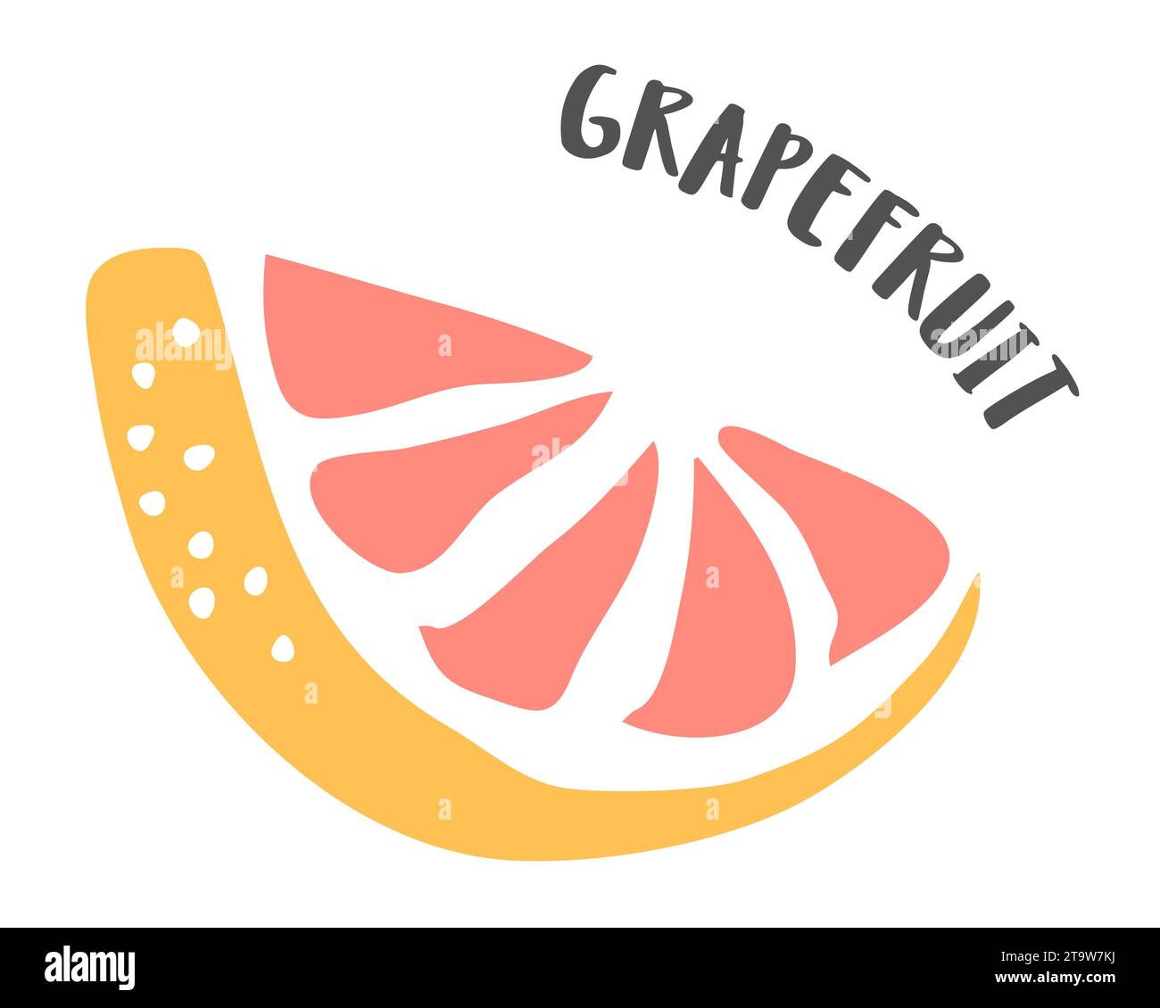 Grapefruit drawing hand painted with ink brush isolated on white ...