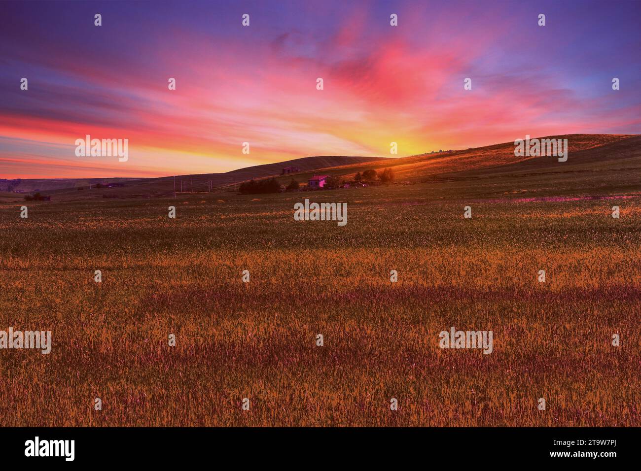 green grass field landscape under sun fall down sunset sky and soft ...