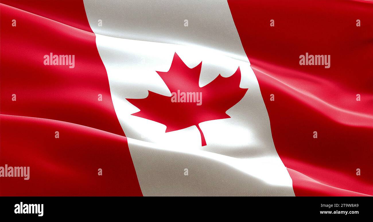 waving fabric texture of the flag of canada, real texture flag Stock ...