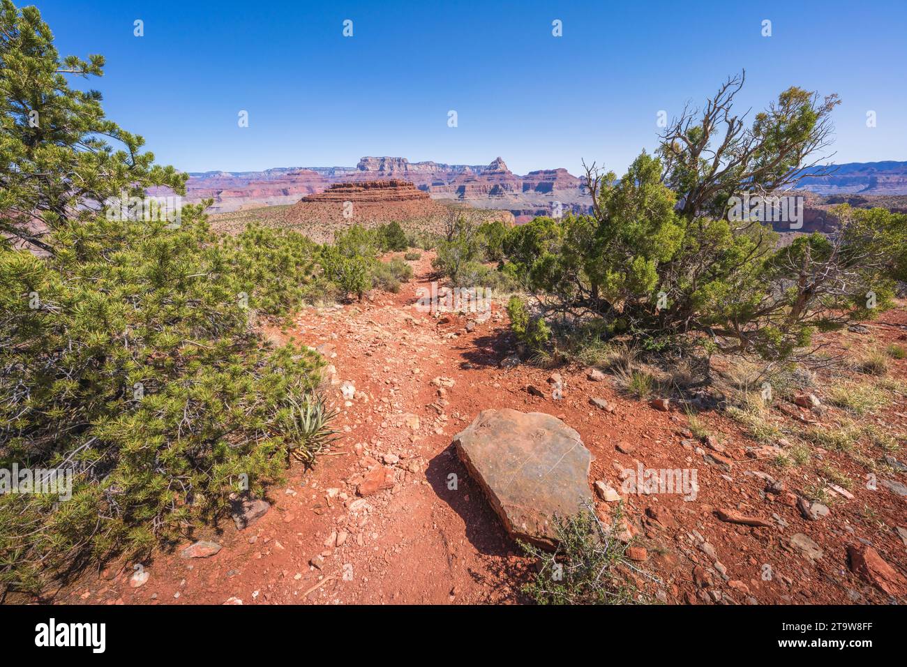 hiking the grandview trail in the grand canyon national park in arizona ...