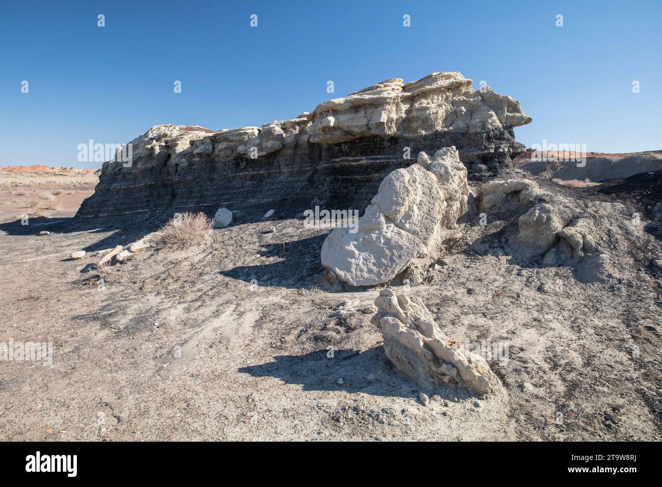 Cretaceous tertiary boundary hi-res stock photography and images - Alamy