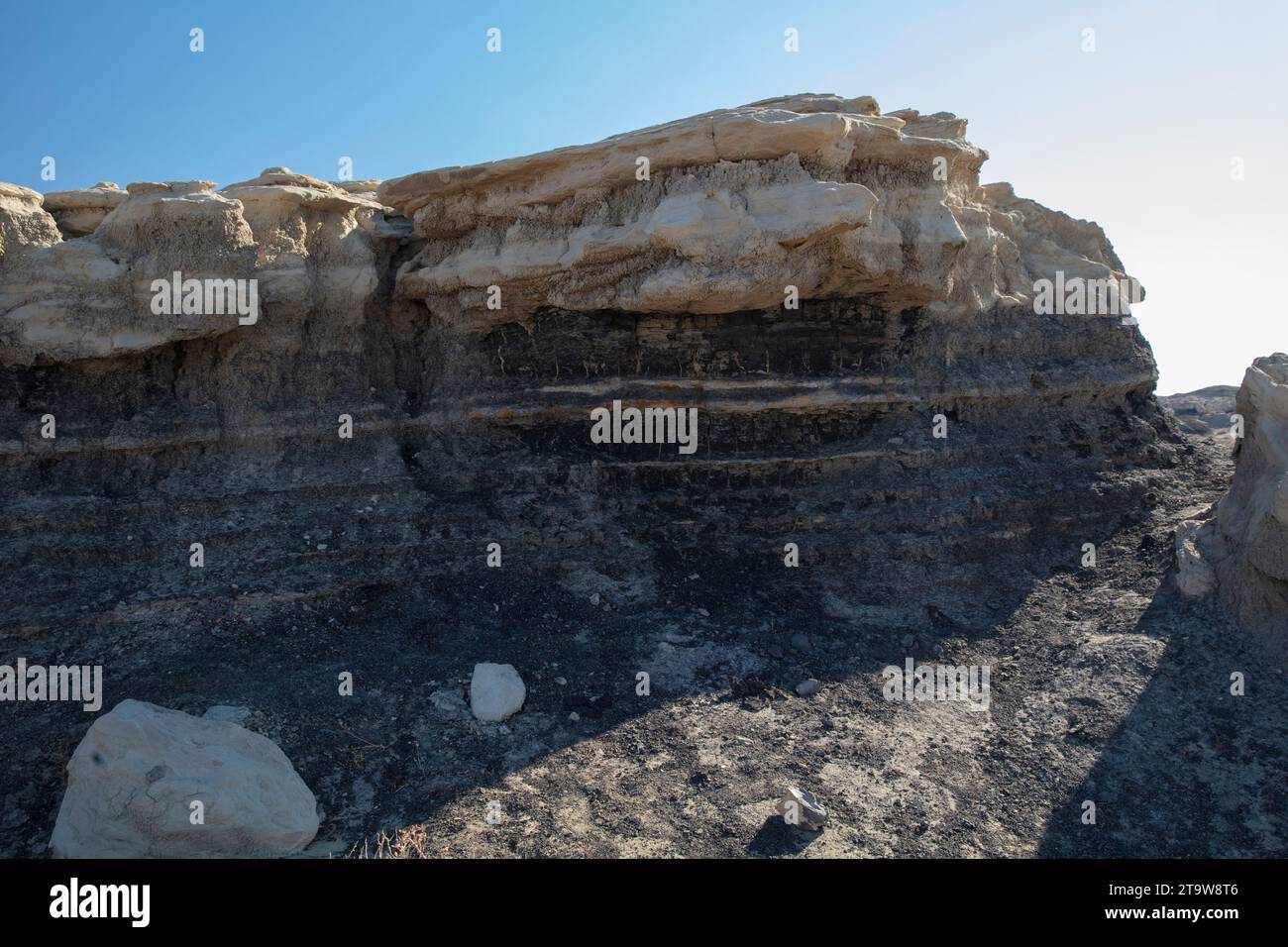 Classic American Landscapes: Bisti Wilderness in NW New Mexico is an ...