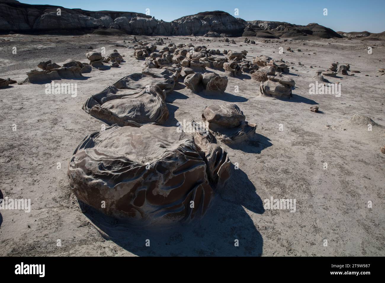 Classic American Landscapes: Bisti Wilderness in NW New Mexico is an ...