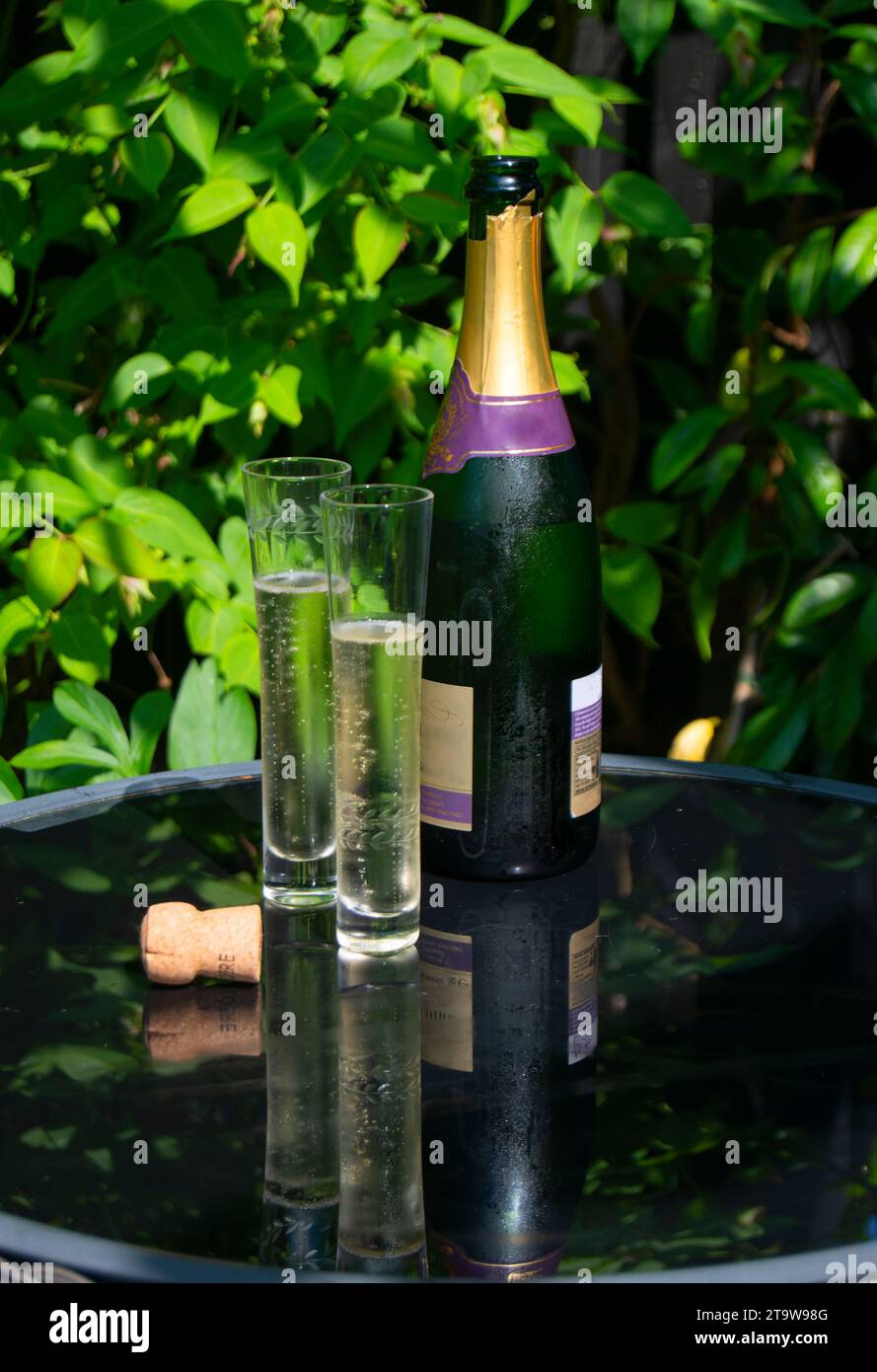 Prosecco in long glasses Stock Photo - Alamy