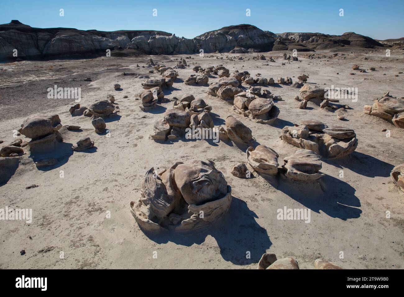 Classic American Landscapes: Bisti Wilderness in NW New Mexico is an ...
